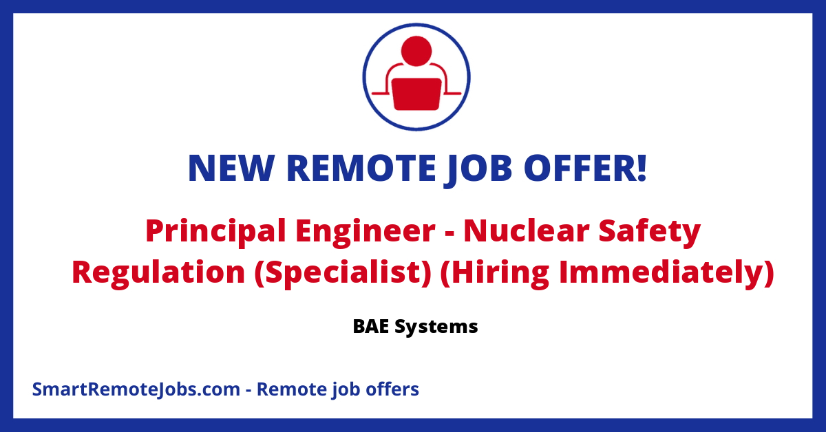 Principal Engineer - Nuclear Safety Regulation (Specialist) (Hiring ...